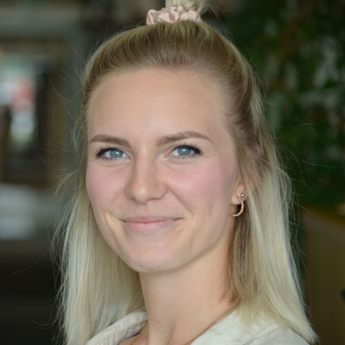 Unser Team - Institut für Sozialforschung und berufliche Weiterbildung